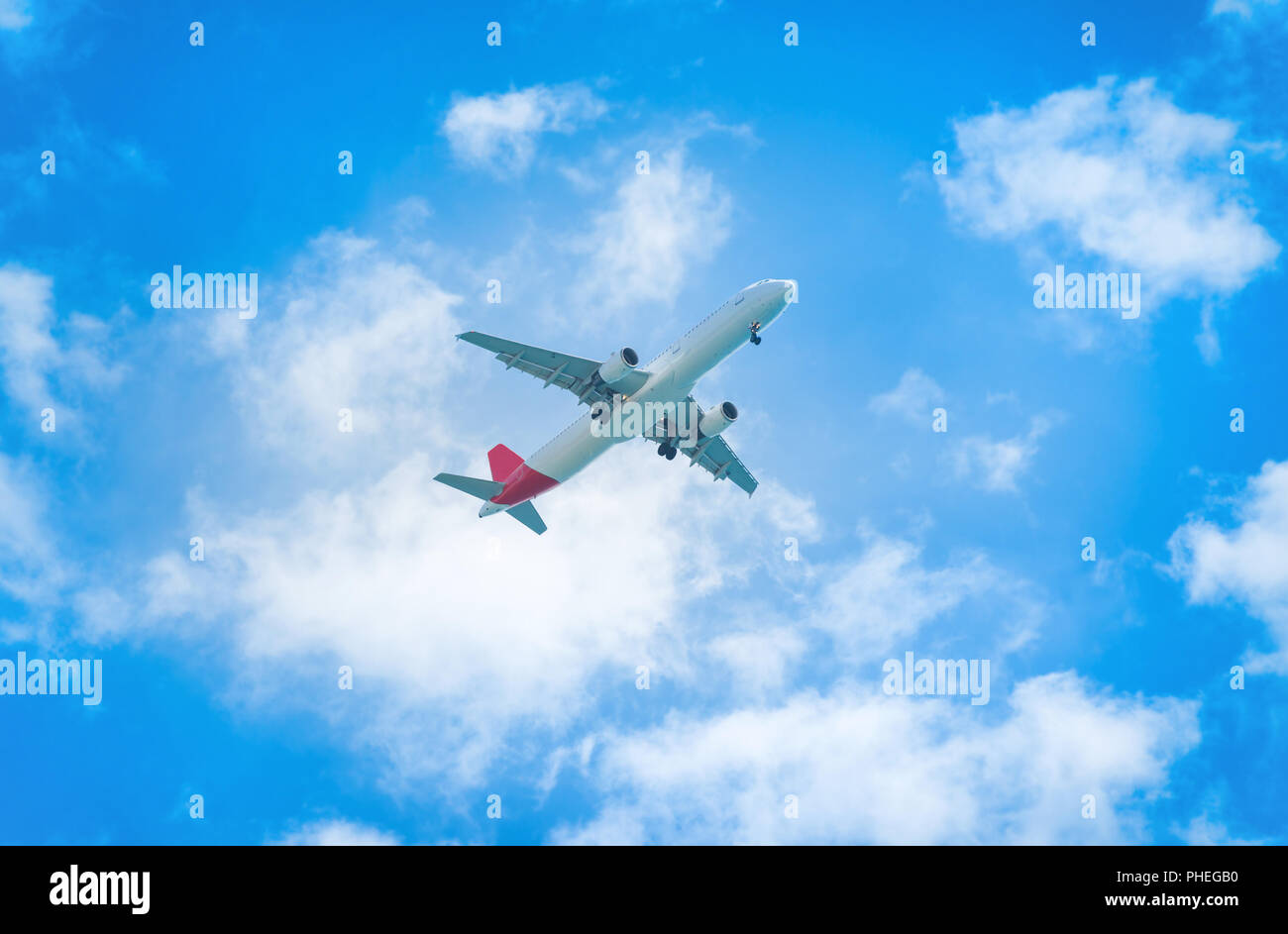 Flying in back light at hi-res stock photography and images - Alamy