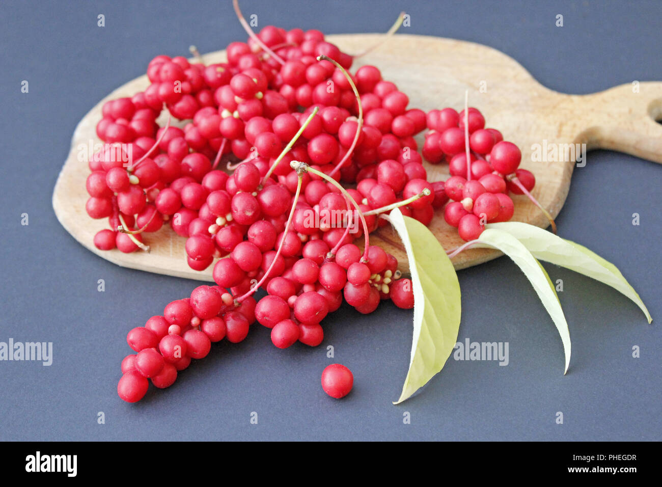Five flavor berry schisandra hi-res stock photography and images - Alamy