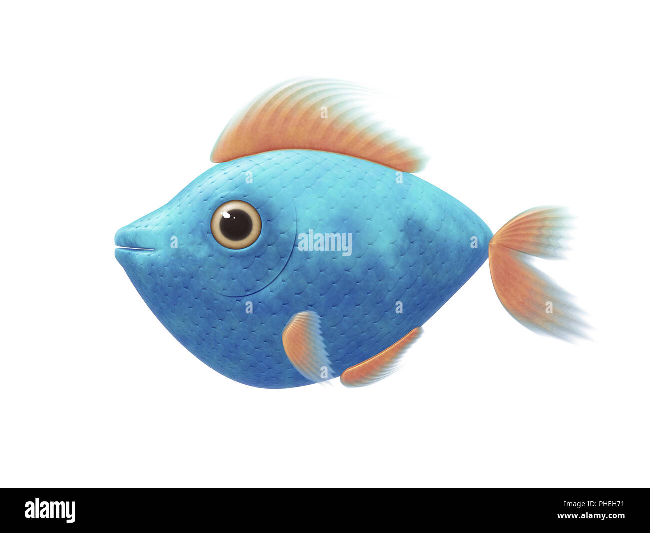 Turquoise fish hi-res stock photography and images - Alamy