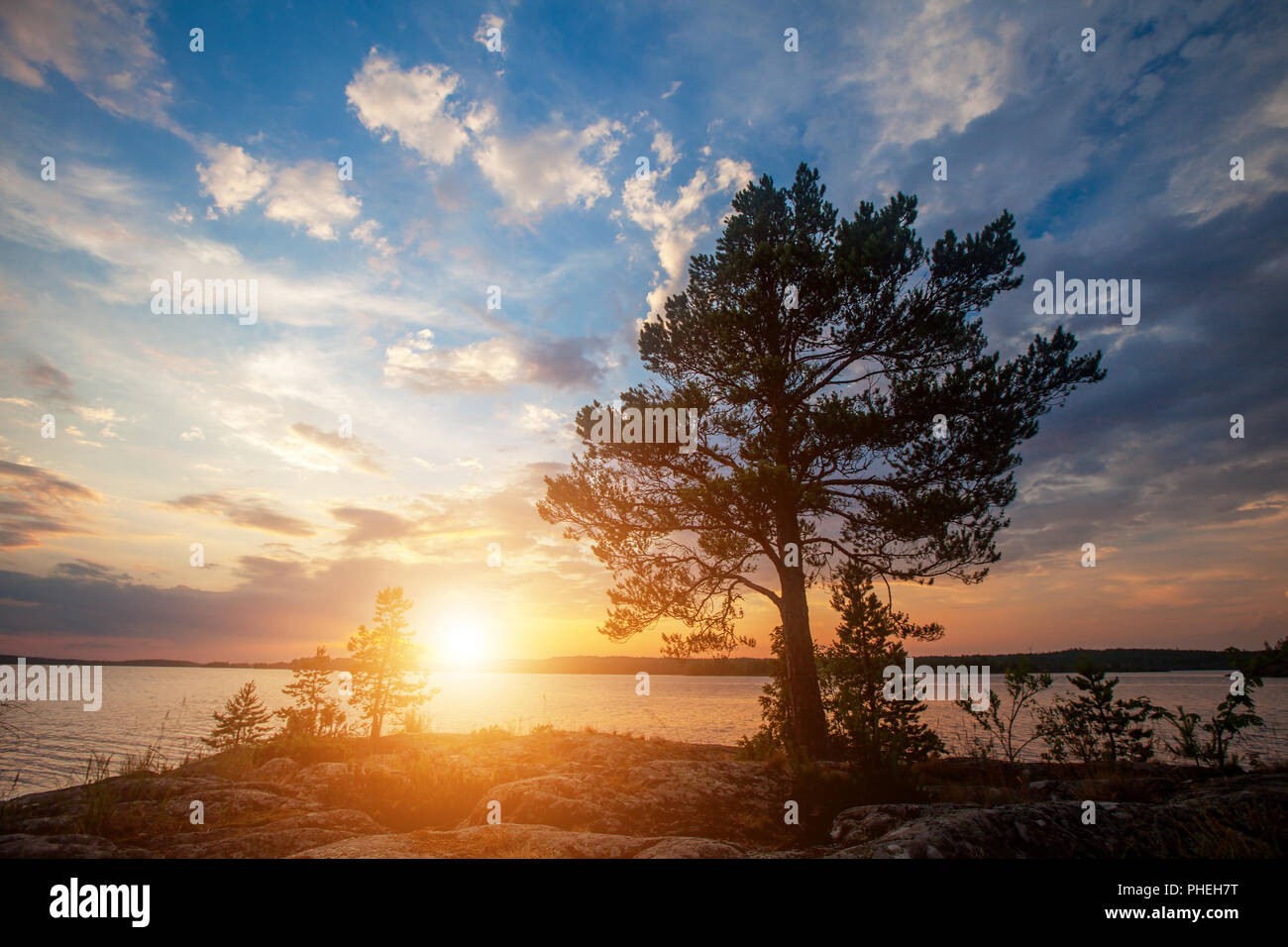 Beautiful sun and tree hi-res stock photography and images - Alamy