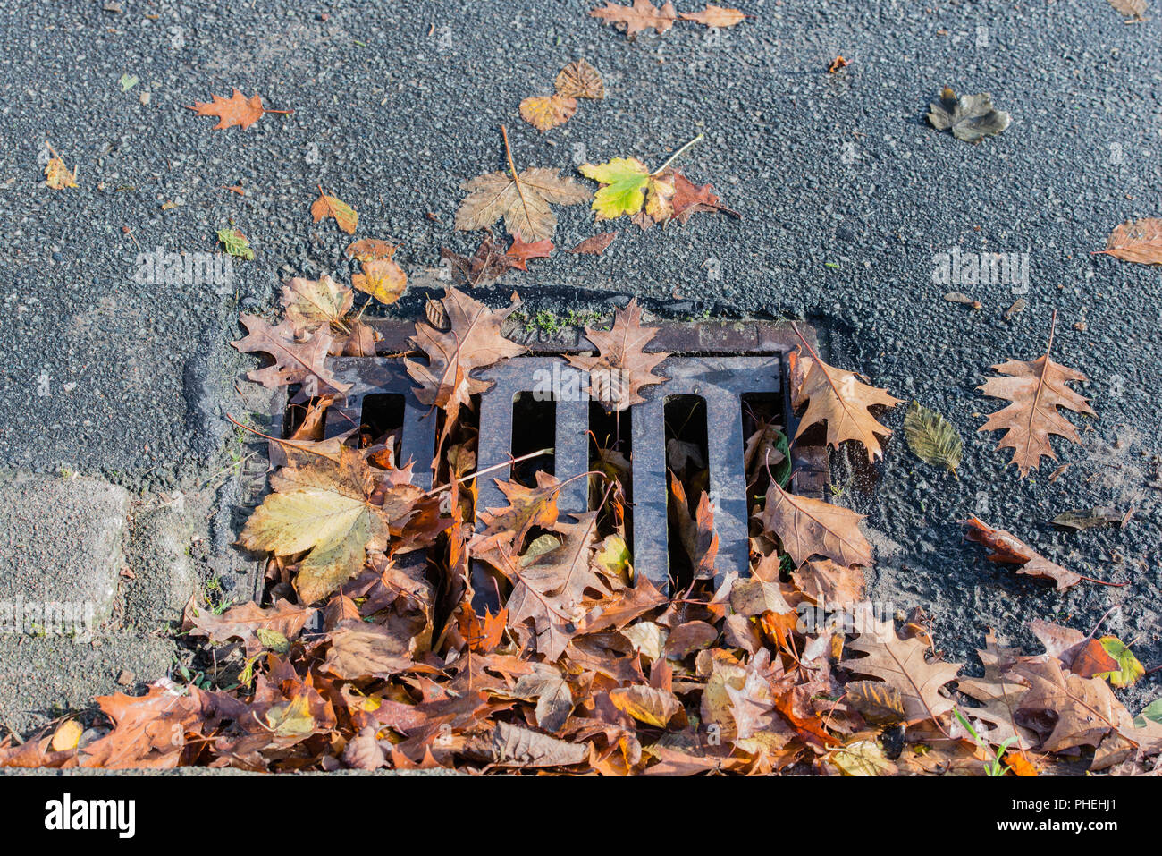 Clogged manhole cover on a street Stock Photo - Alamy