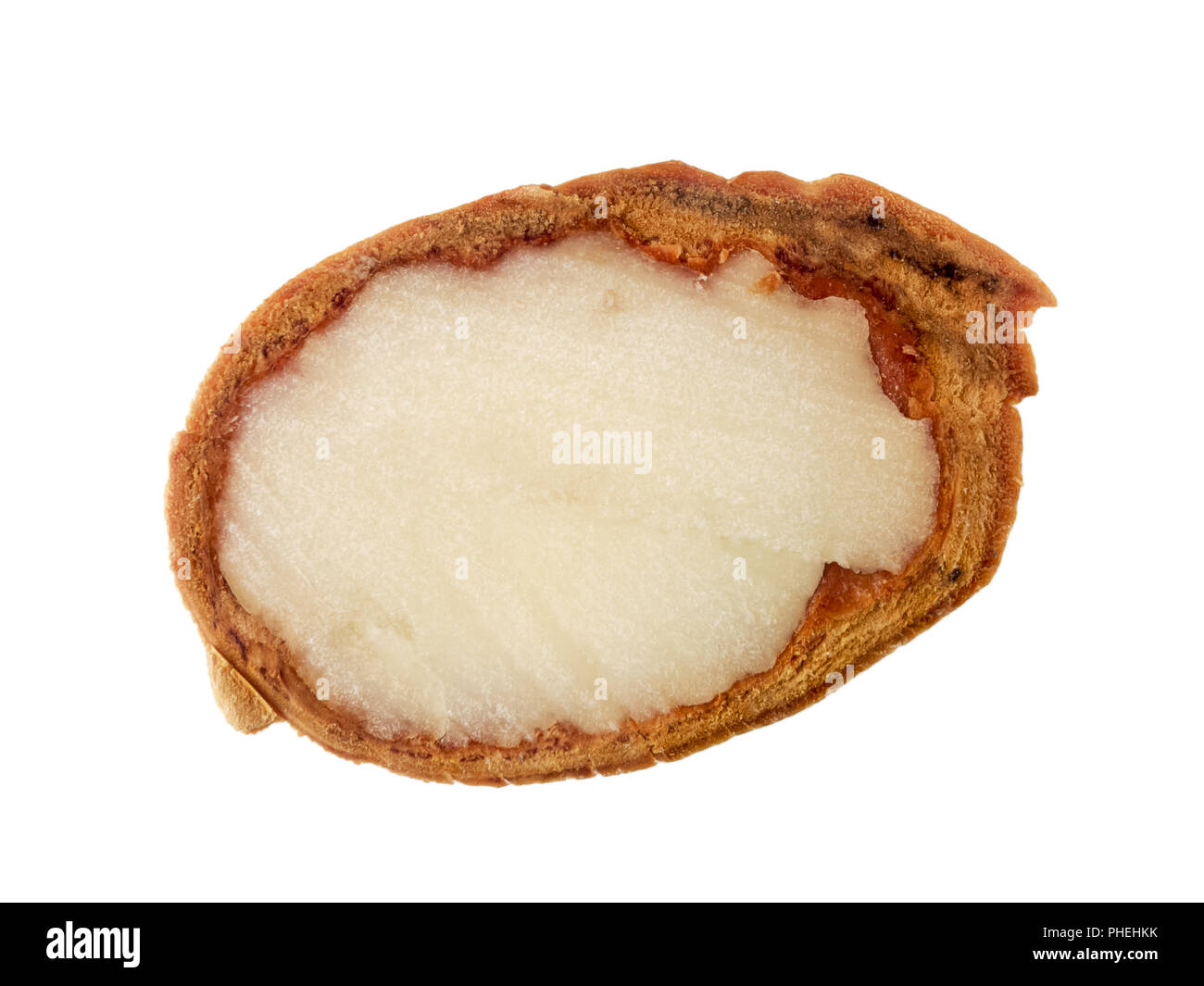 Chestnut in cross-section Stock Photo - Alamy
