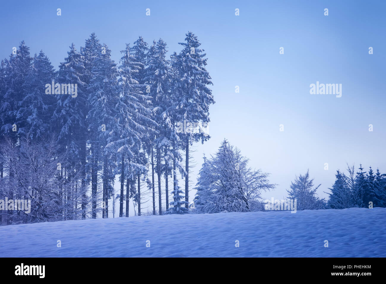 Tree scenery hi-res stock photography and images - Alamy