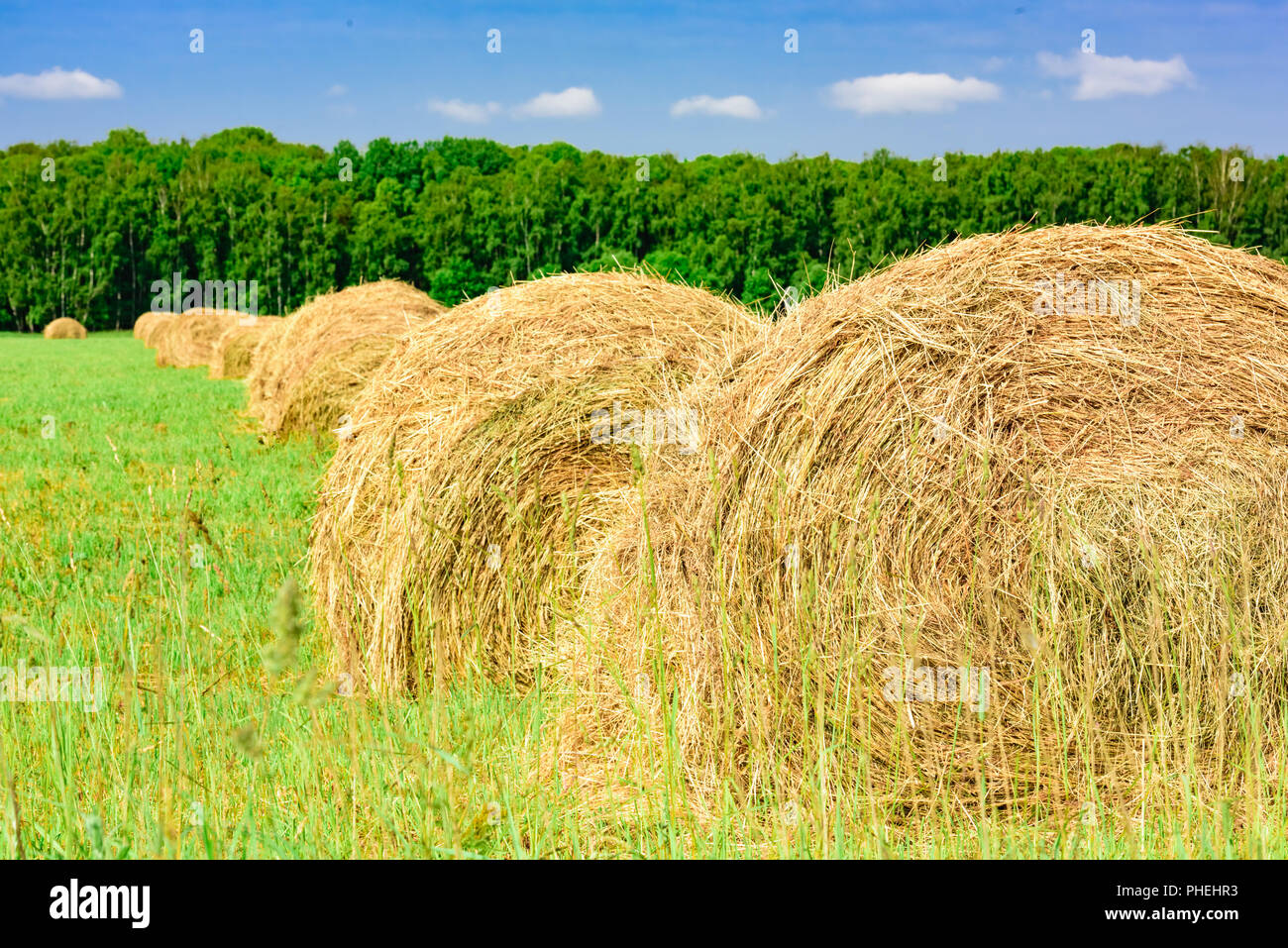 Bale hay farm farming pattern nature hi-res stock photography and ...