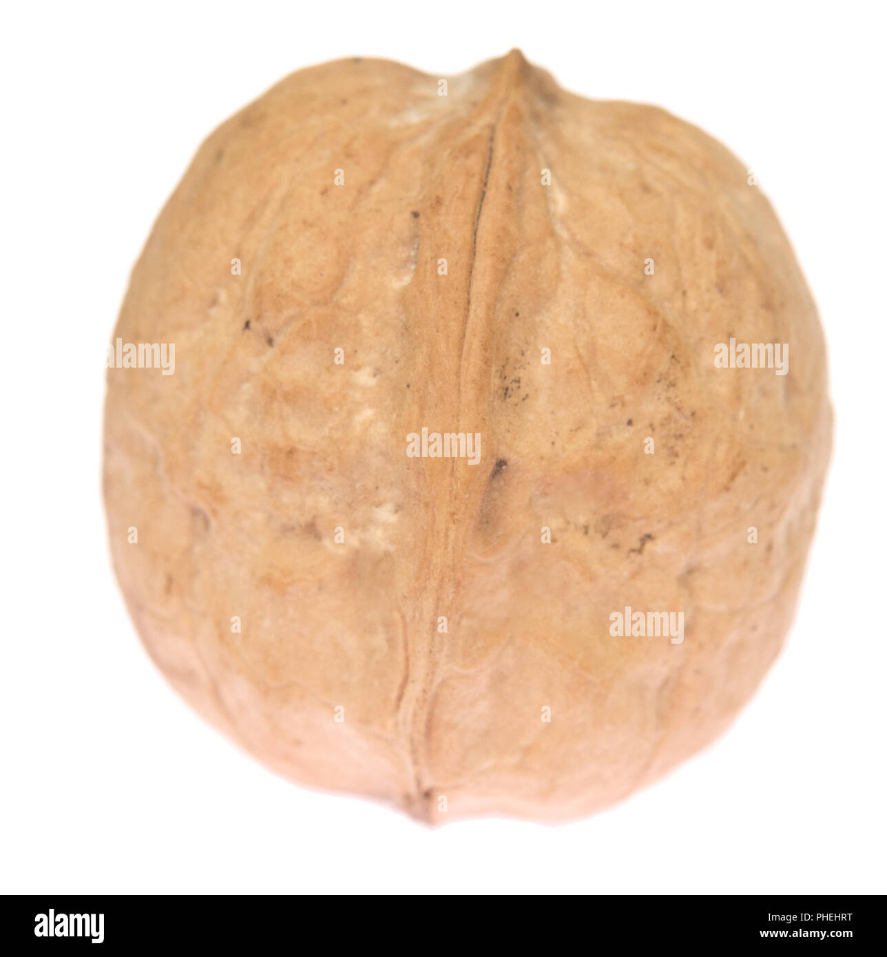 Walnut on white Stock Photo - Alamy