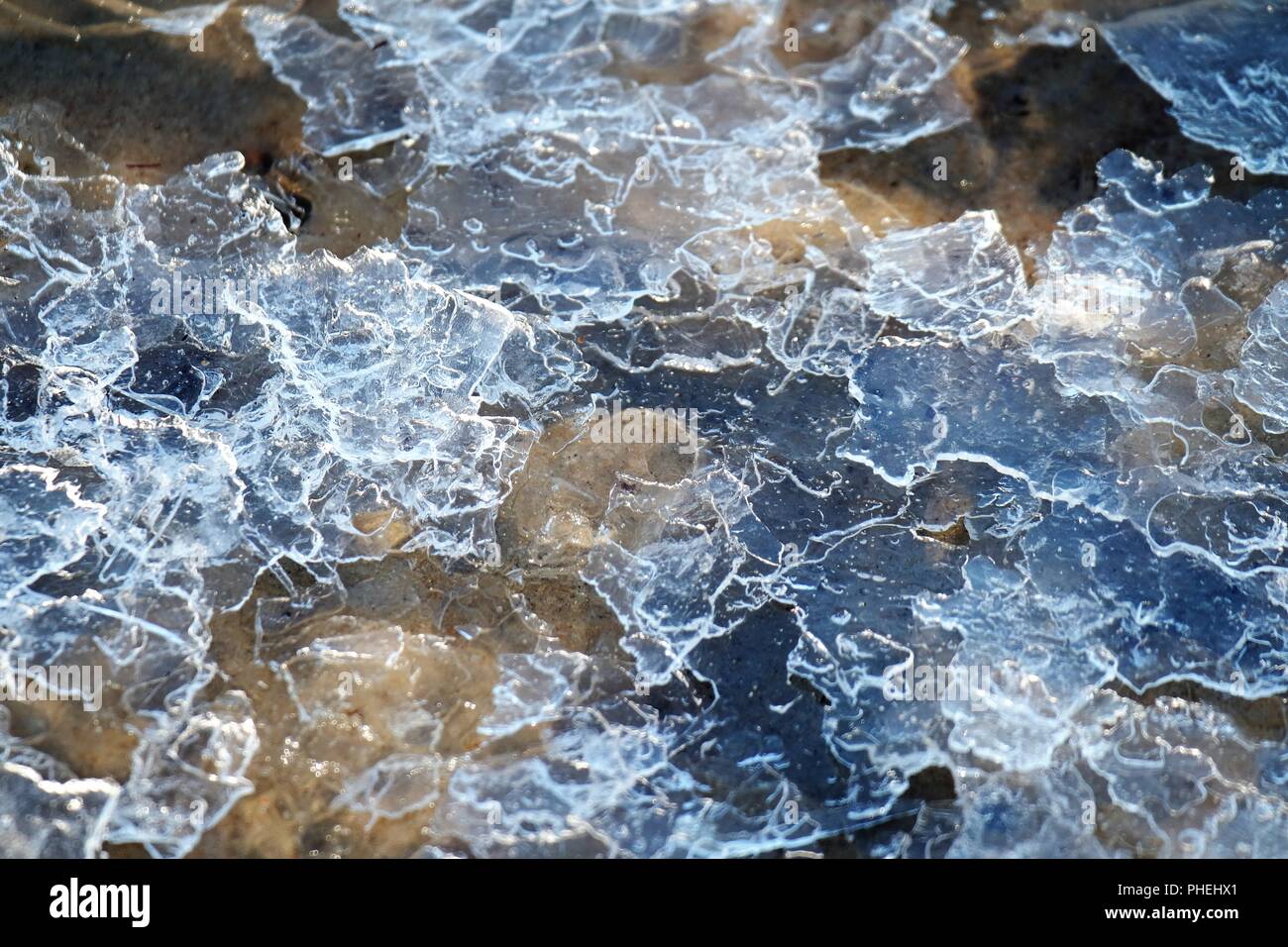 Thin ice sheet Stock Photo - Alamy