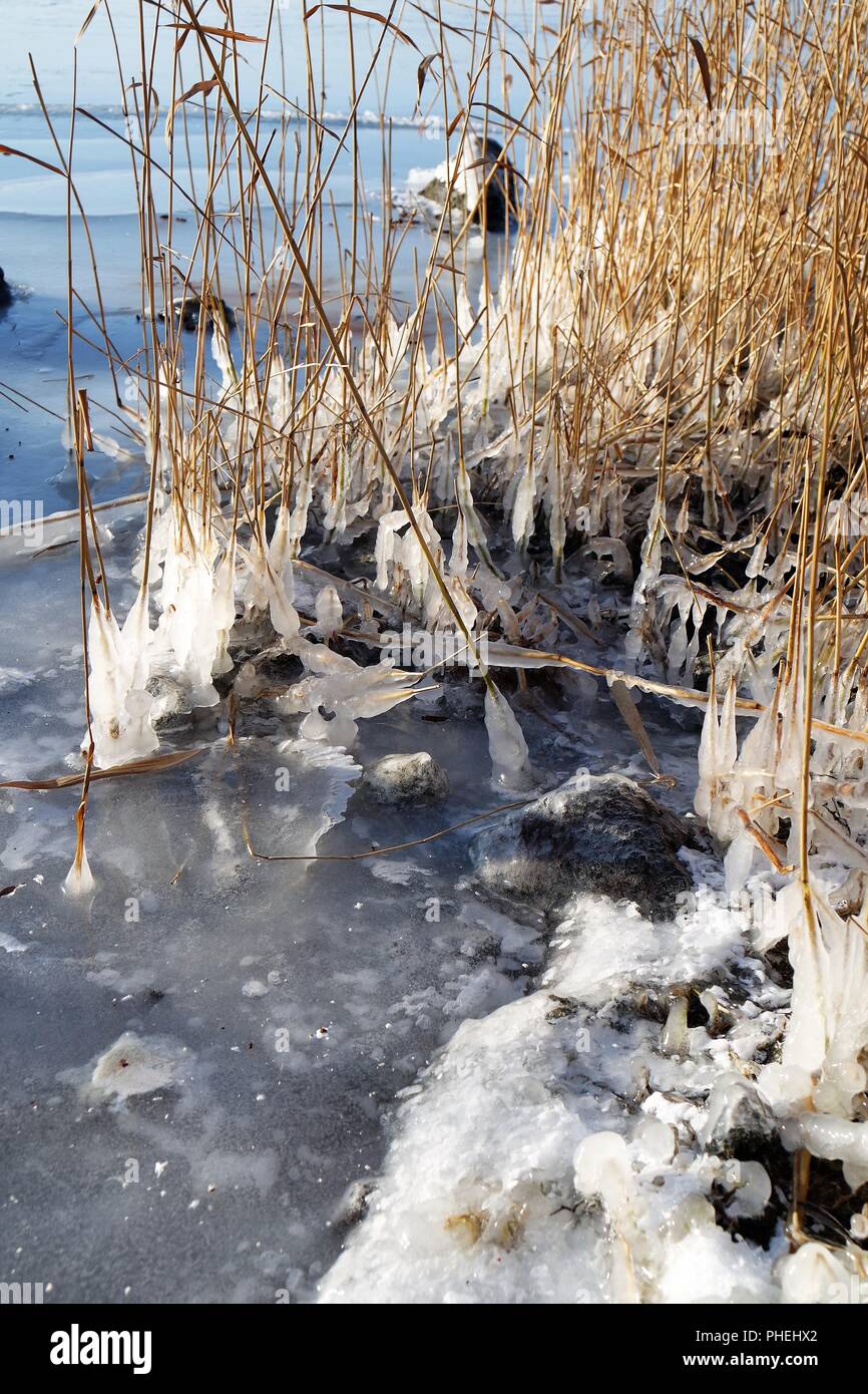 Frozen lake shore Stock Photo - Alamy
