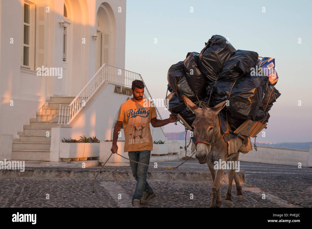 Local Greek man taking out the trash with donkey in Fira, Thira ...