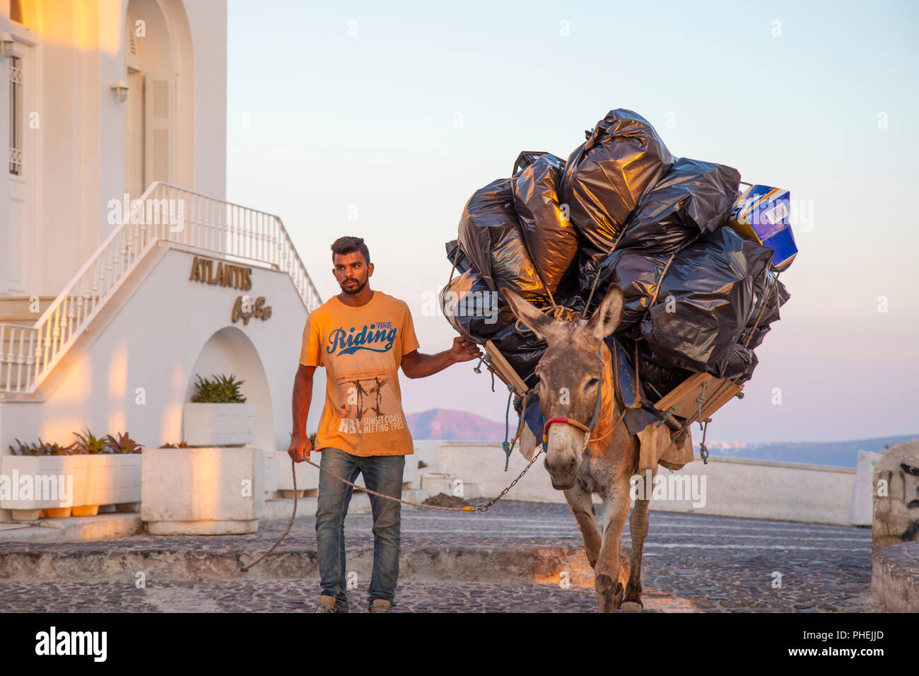 Local Greek man taking out the trash with donkey in Fira, Thira ...