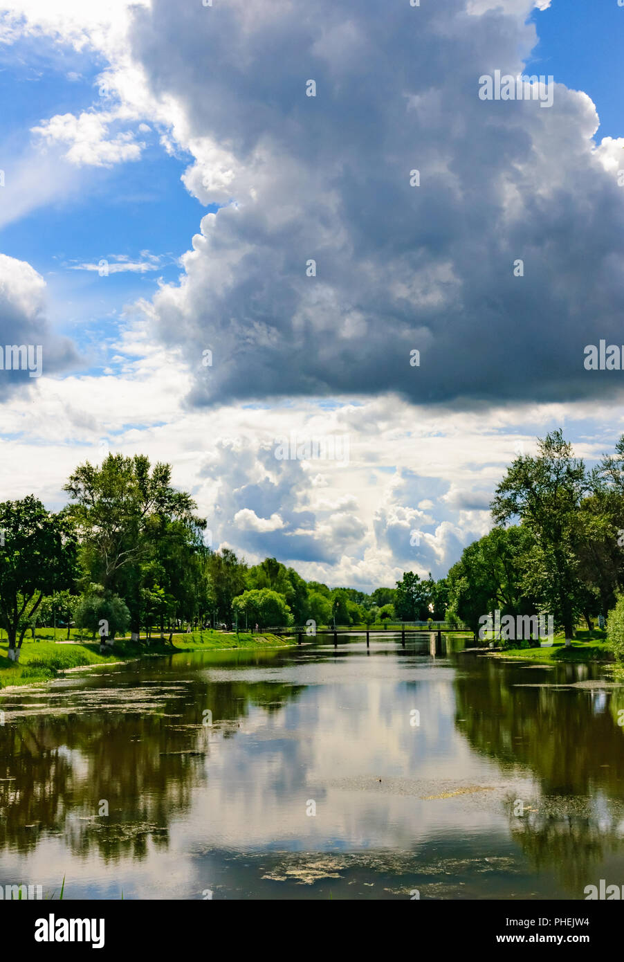 Body in swamp hi-res stock photography and images - Alamy