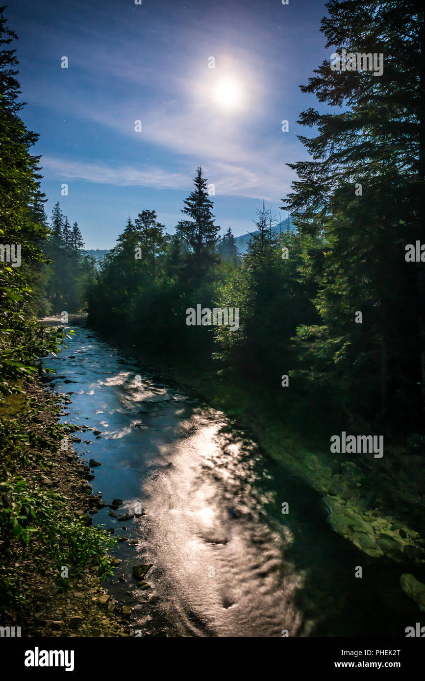 Starry night river park hi-res stock photography and images - Alamy