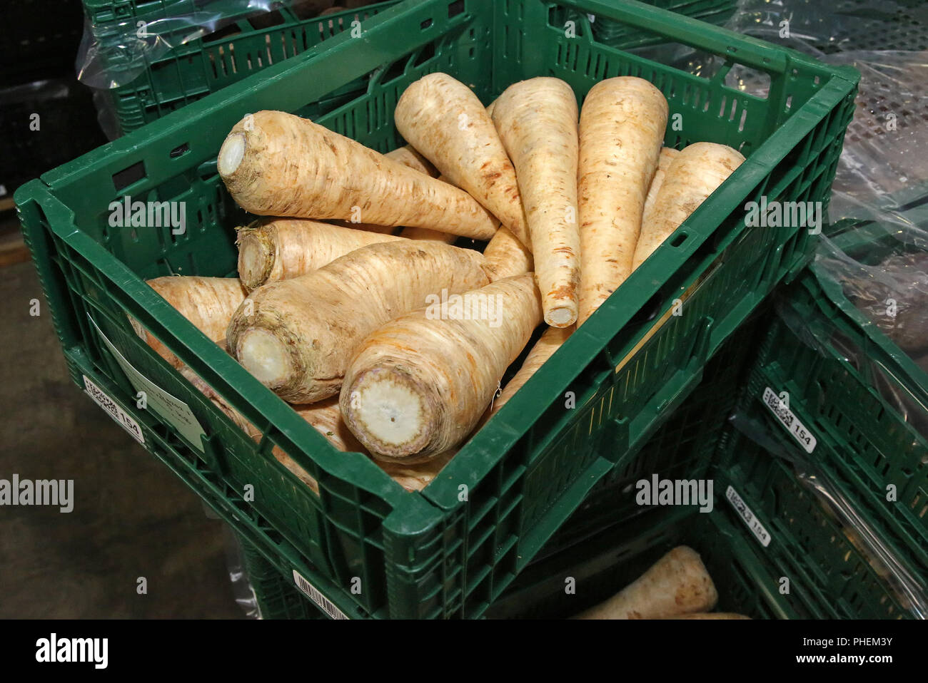 Root of parsley hi-res stock photography and images - Alamy