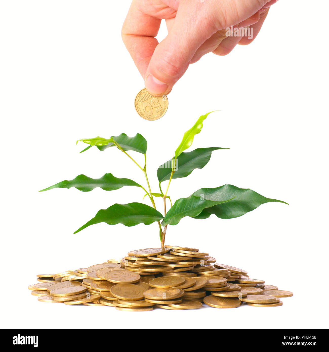 Green tree growing from the coins Stock Photo - Alamy