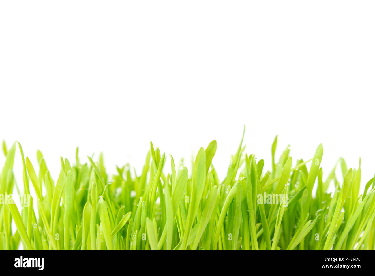 Green grass texture Stock Photo - Alamy