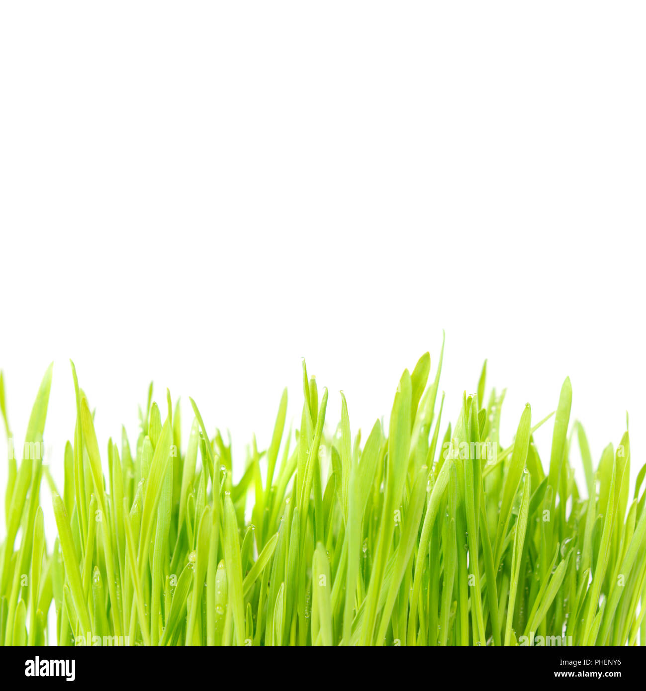 Grass texture horizontal hi-res stock photography and images - Alamy