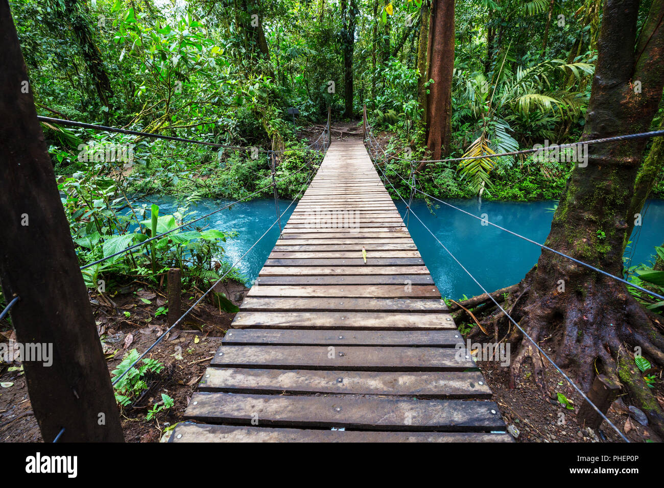 Bridge in Costa Rica Stock Photo - Alamy