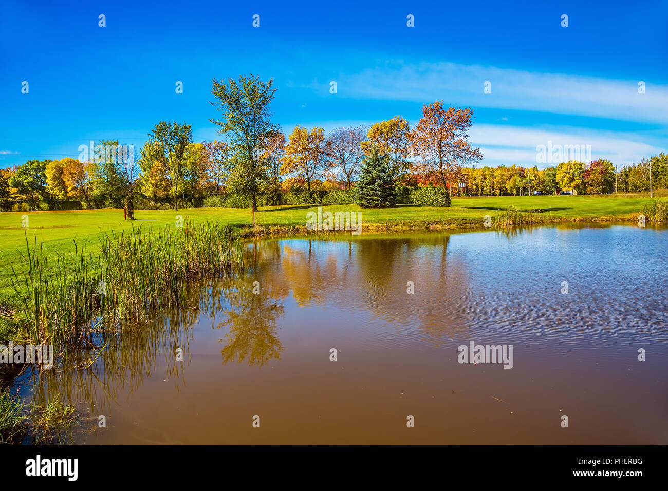 Oval pond hi-res stock photography and images - Alamy
