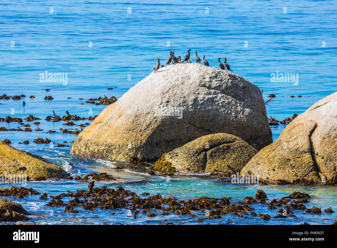 Large boulders on the beach Stock Photo - Alamy