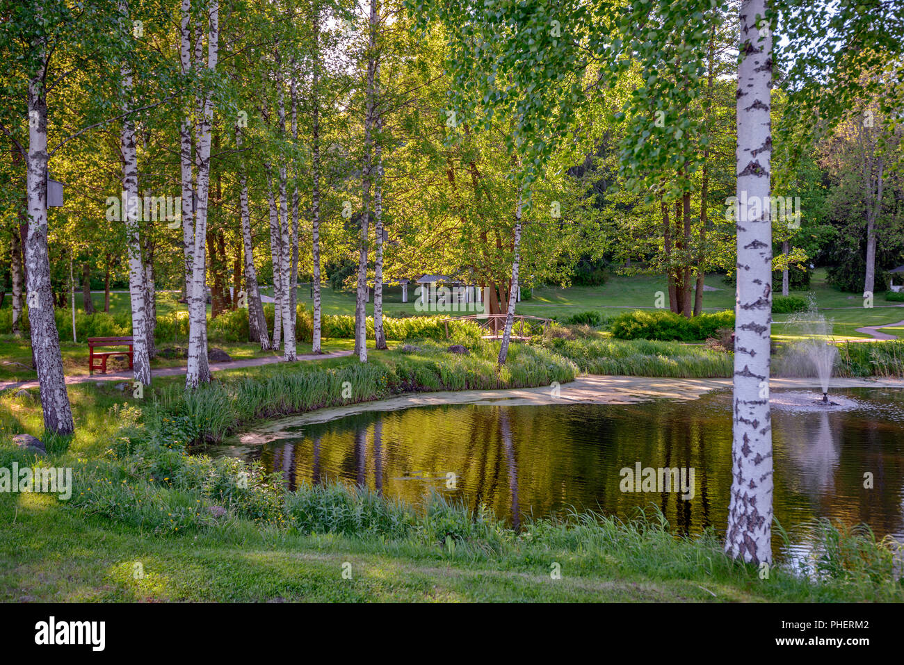 Pond and bench in nature park hi-res stock photography and images - Alamy