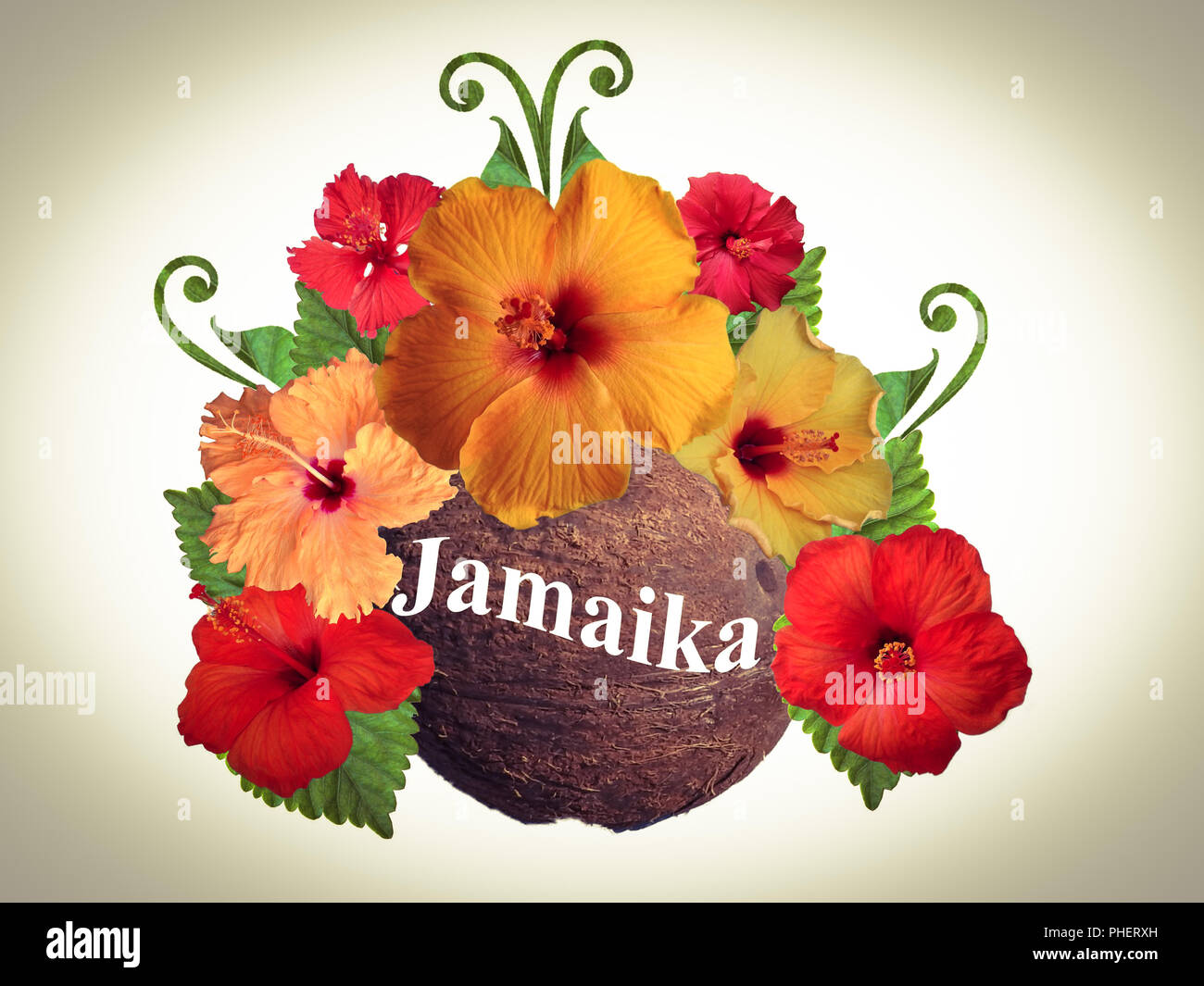 The different rose colors hi-res stock photography and images - Alamy