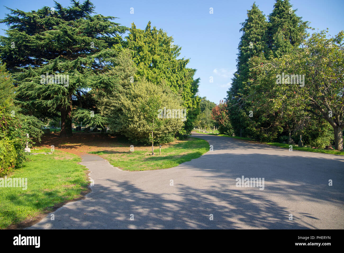 Locksbrook Cemetery, Bath, Somerset Stock Photo - Alamy