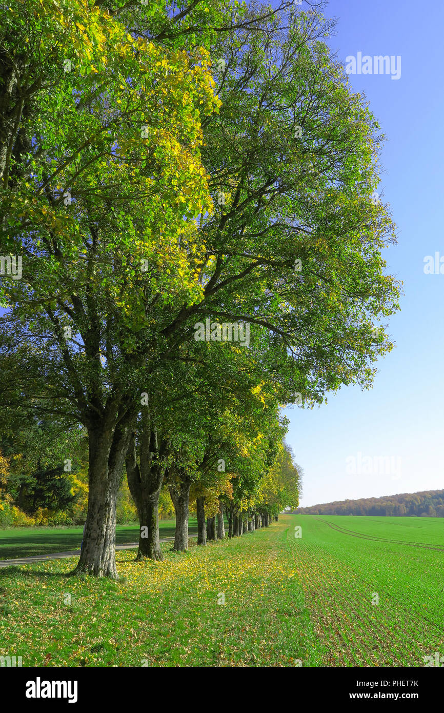 Swabian highlands hi-res stock photography and images - Alamy