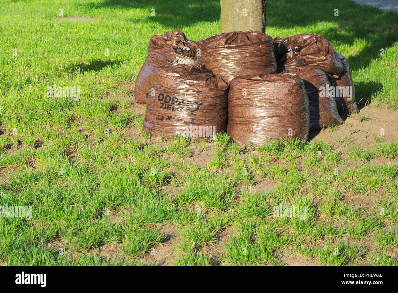 Green waste gathered around a tree Stock Photo - Alamy