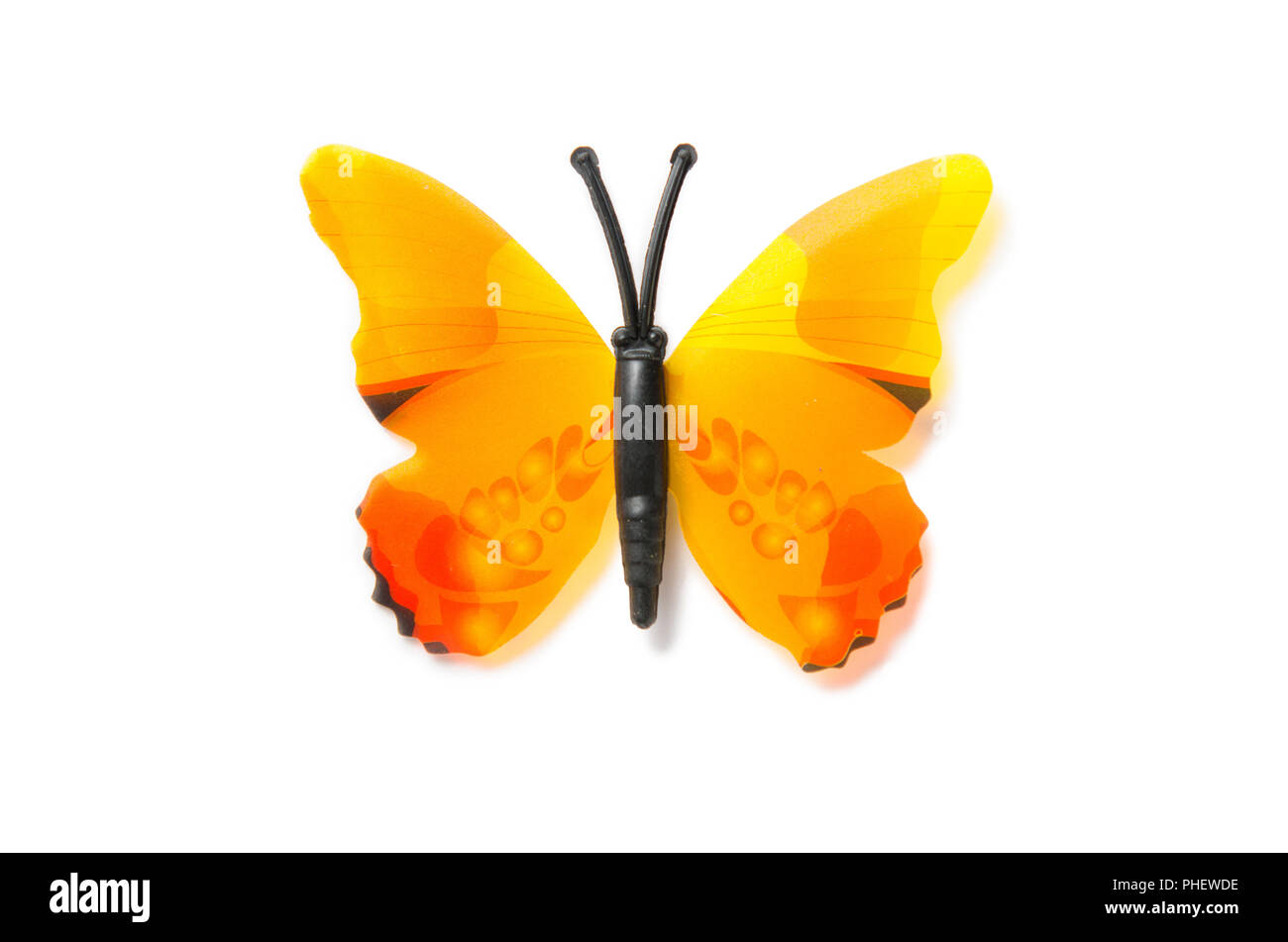 Colourful butterfly isolated on white background Stock Photo - Alamy