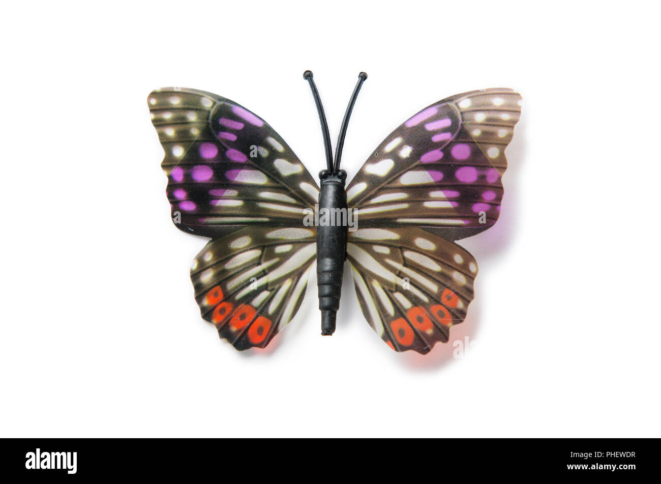 Colourful butterfly isolated on white background Stock Photo - Alamy