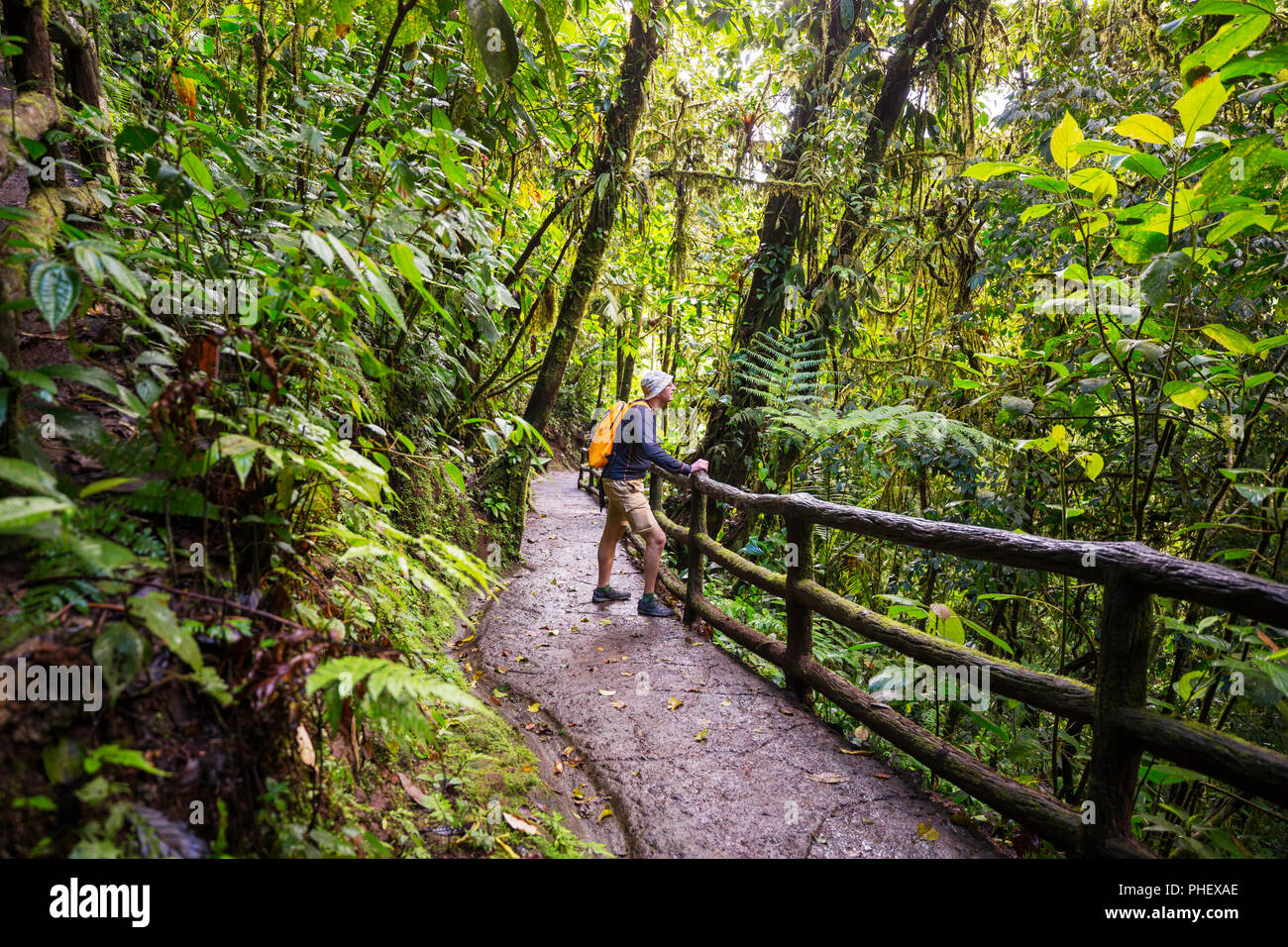 Hike in Costa Rica Stock Photo - Alamy