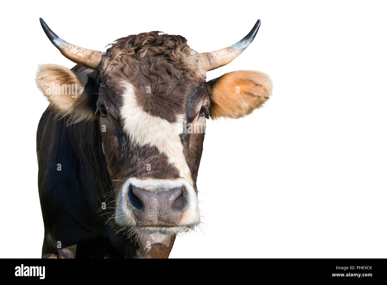 Front from view nobody Cut Out Stock Images & Pictures - Alamy