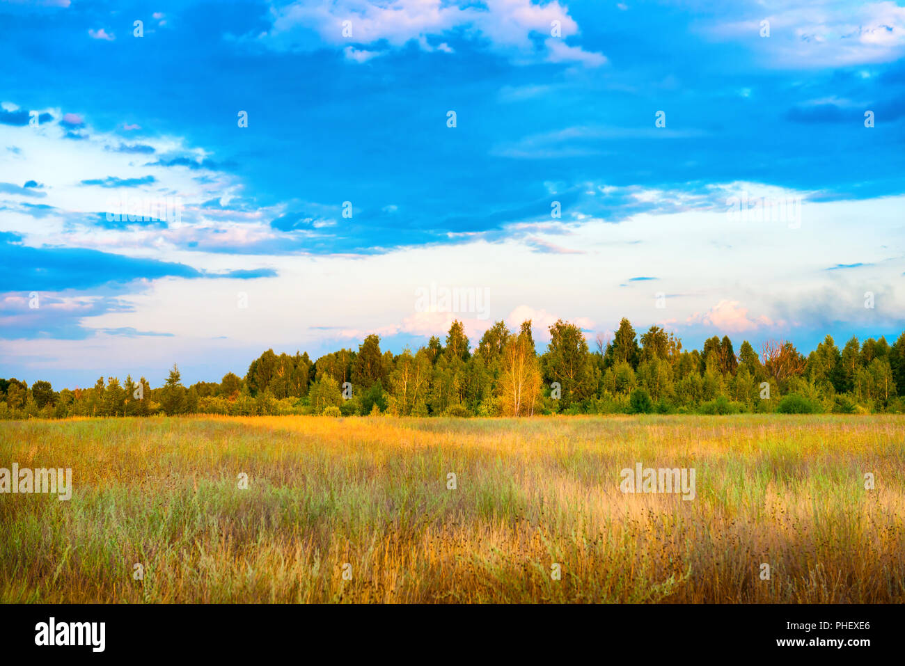Beautiful field and sky hi-res stock photography and images - Alamy