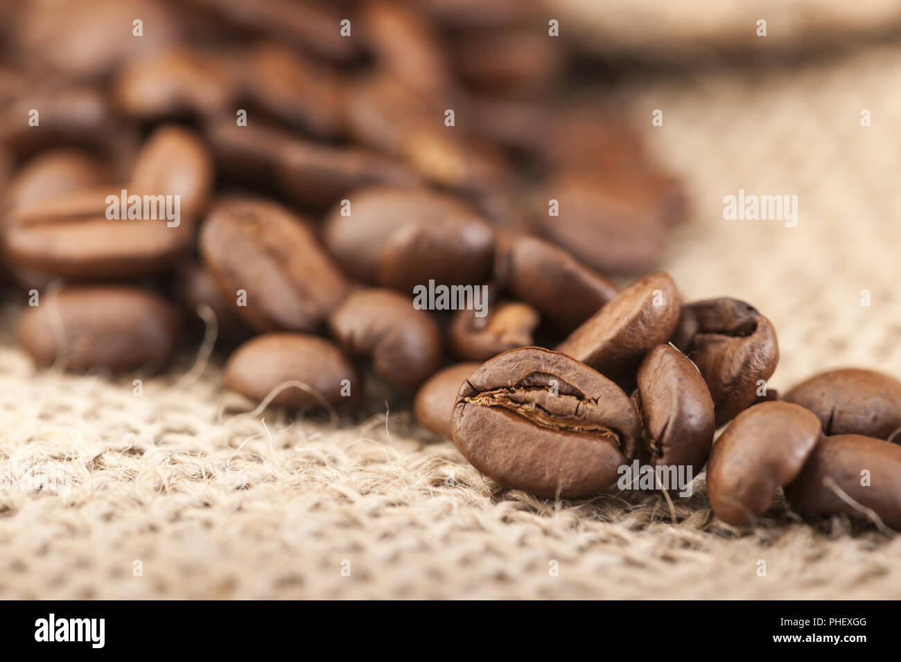 Coffee bean in focus Stock Photo - Alamy