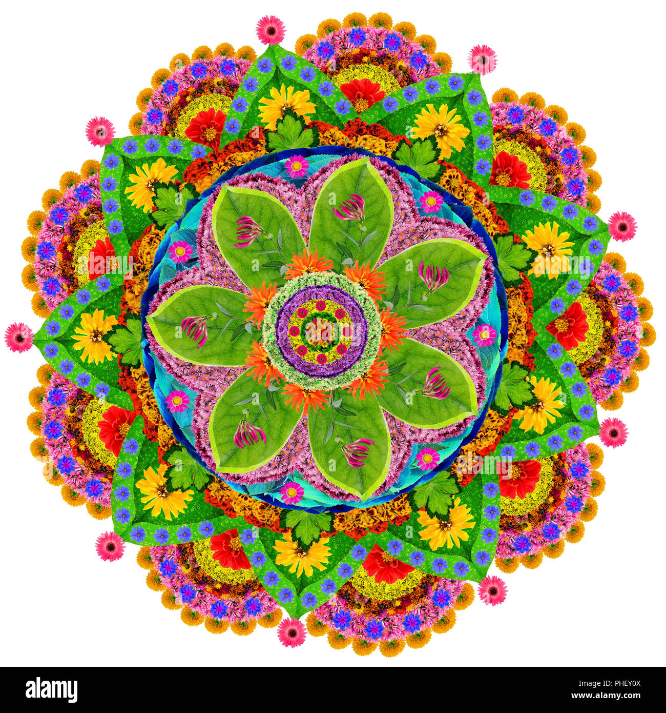Floral mandala hi-res stock photography and images - Alamy