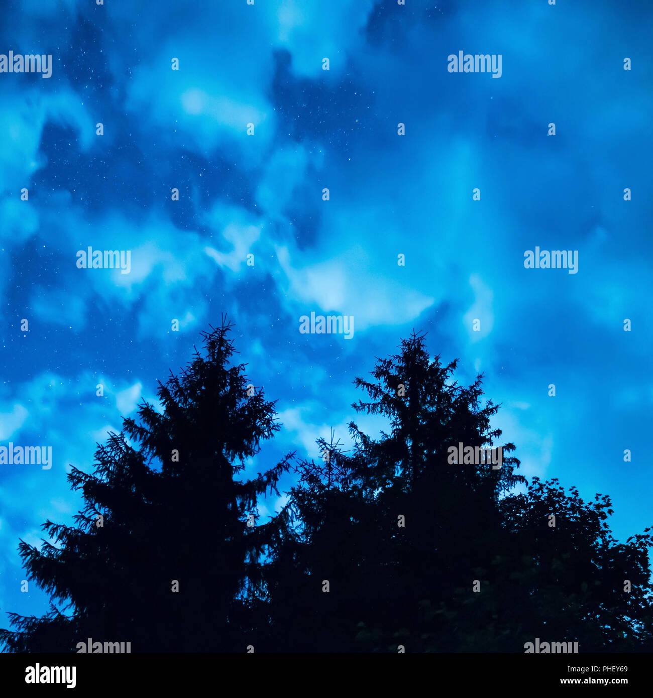 Night sky under trees hi-res stock photography and images - Alamy