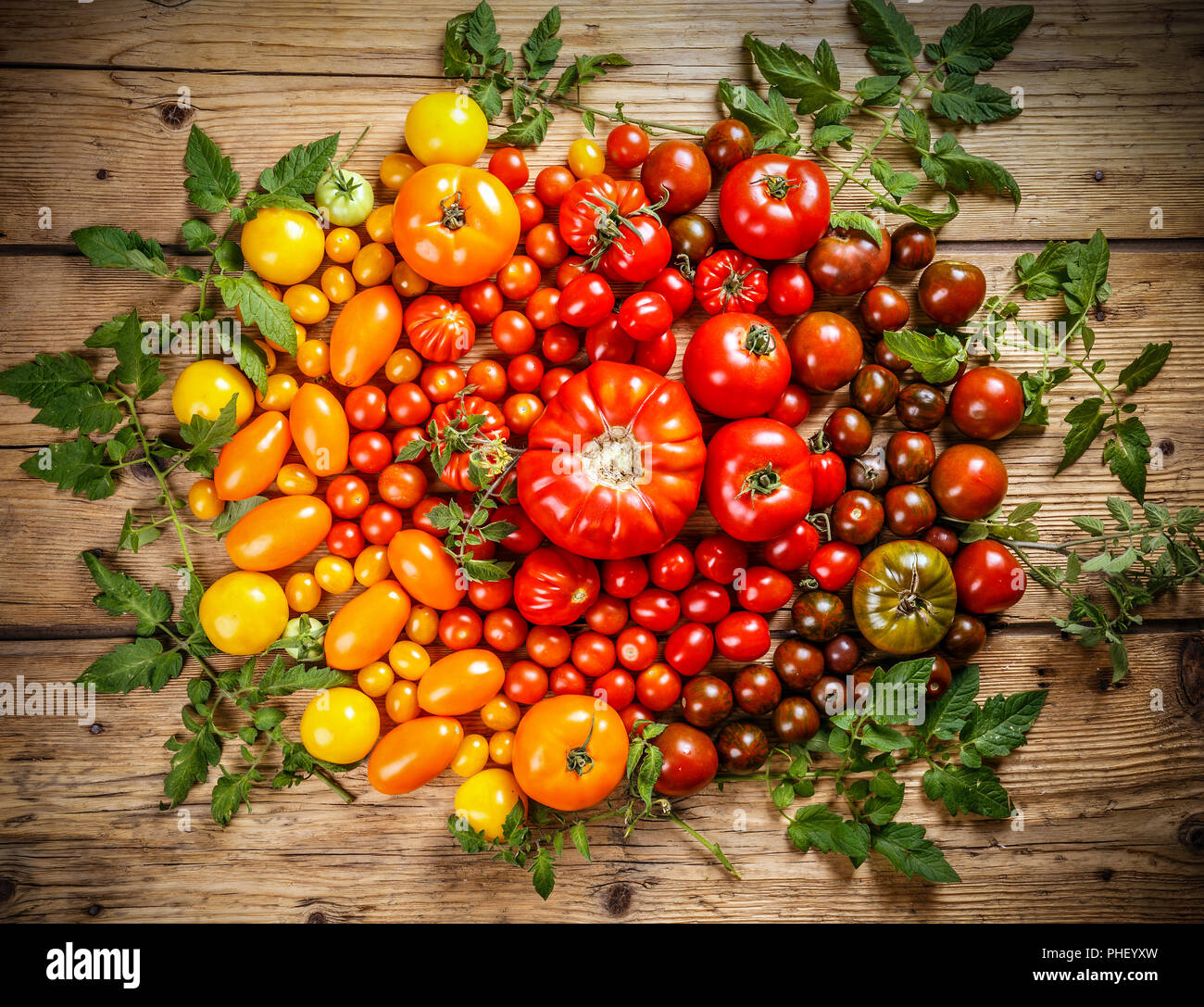 Flat-lay of fresh colorful ripe tomatoes on rustic wooden background ...