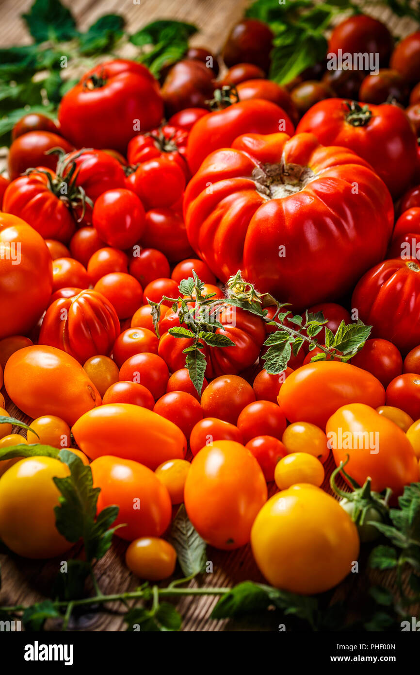 Various freshly harvested tomatoes, close up Stock Photo - Alamy