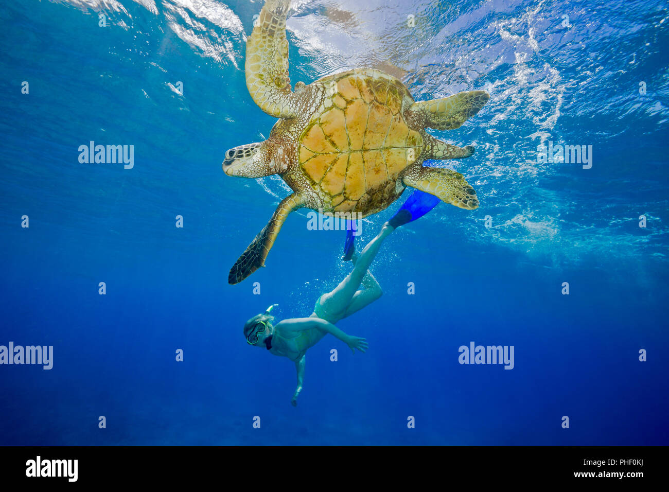 Freediver female hi-res stock photography and images - Alamy