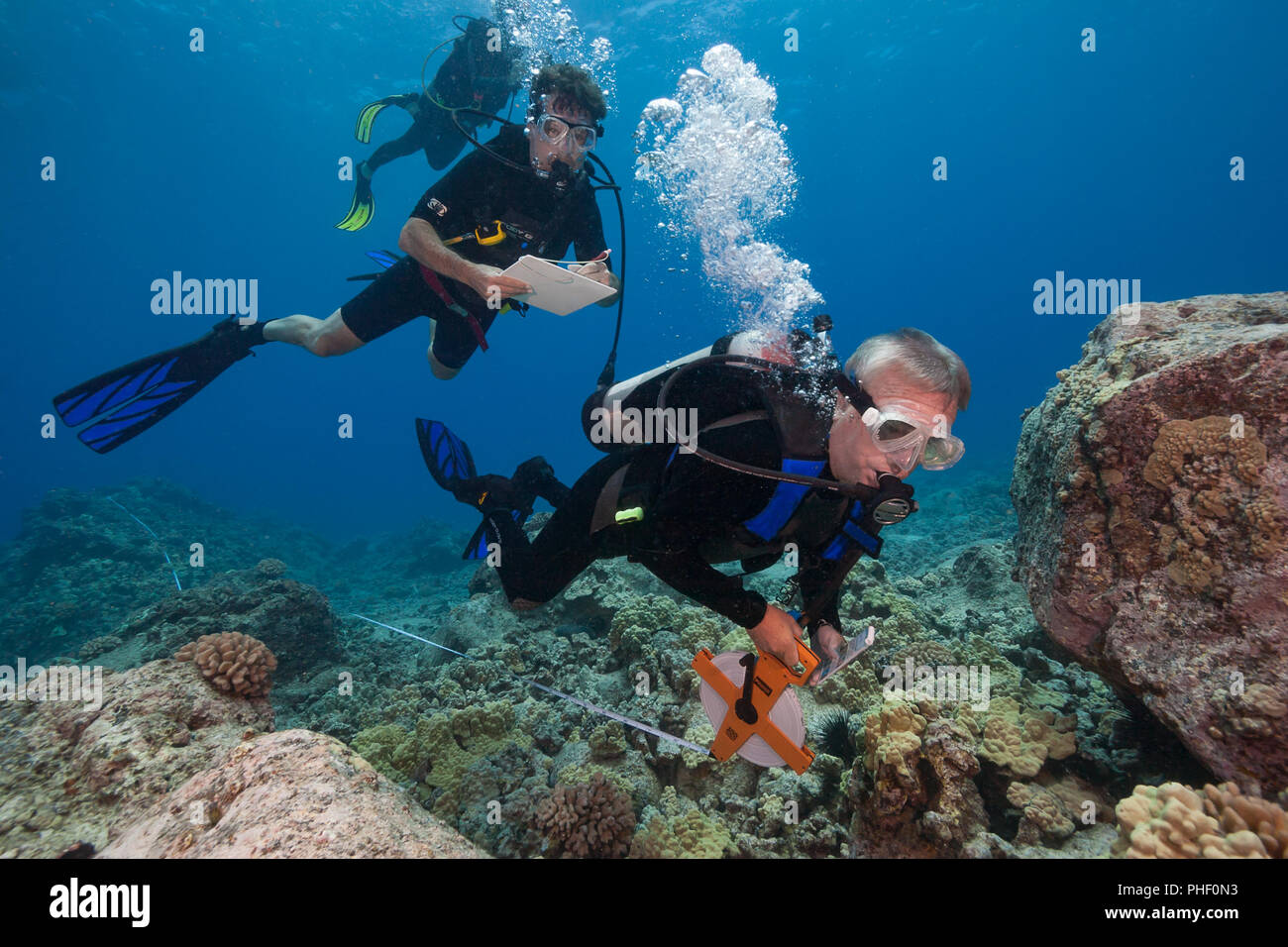 Research divers (MR) extend a transit line to begin a species count. In ...