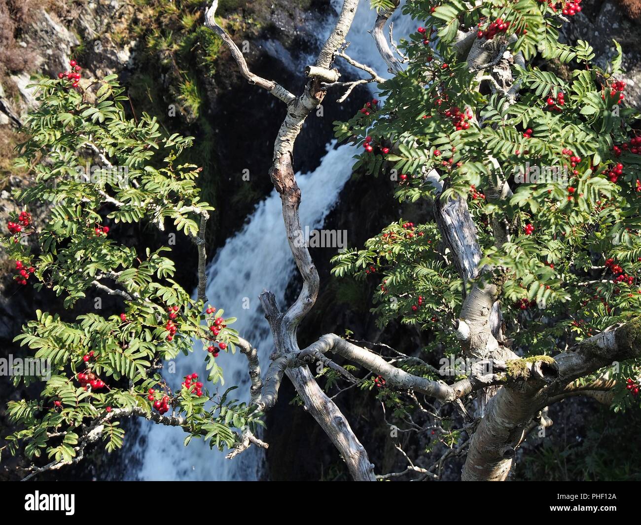 Whitewater dash cascade lake district hi-res stock photography and ...