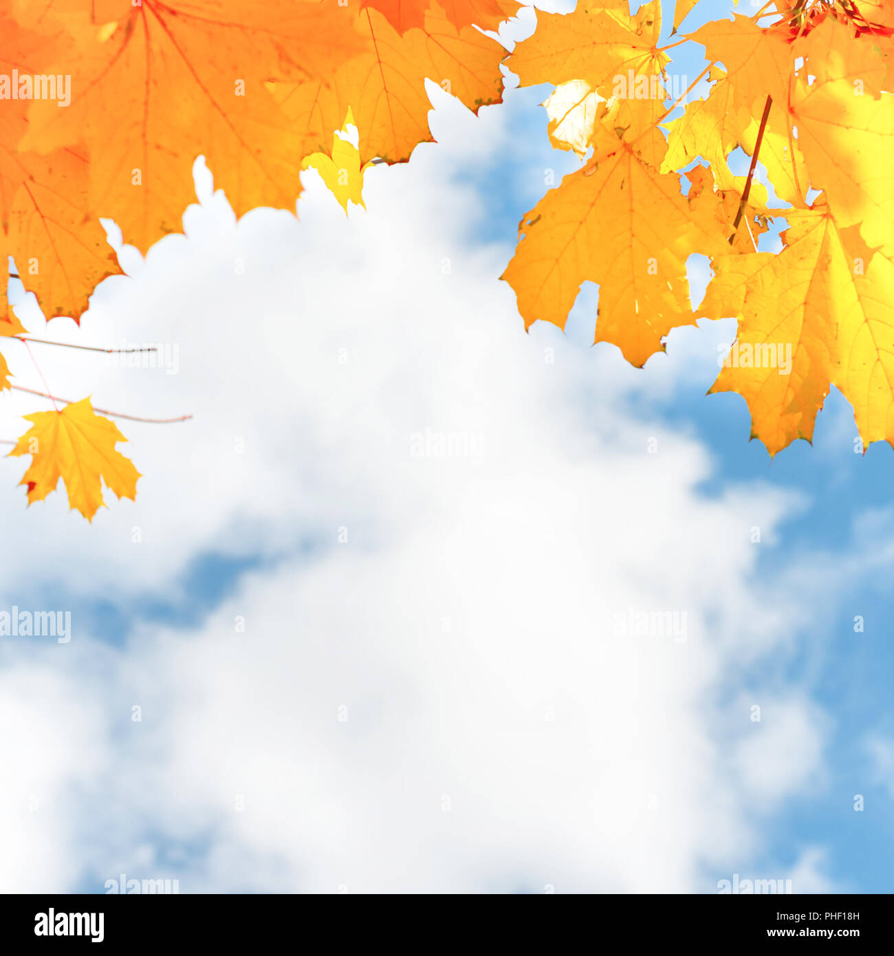 Autumn lea color hi-res stock photography and images - Alamy