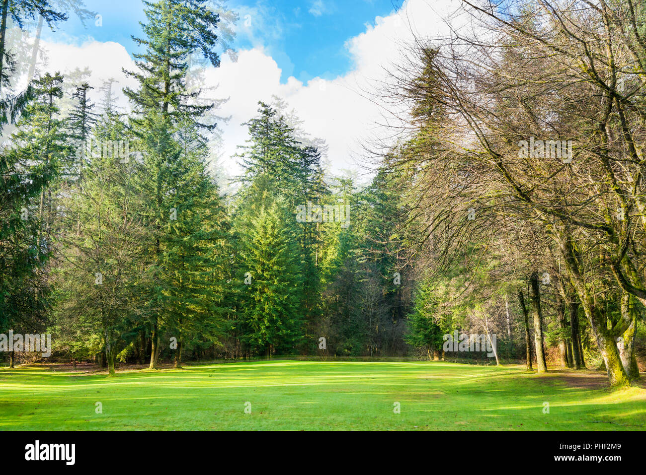 Lawn park park sun hi-res stock photography and images - Alamy