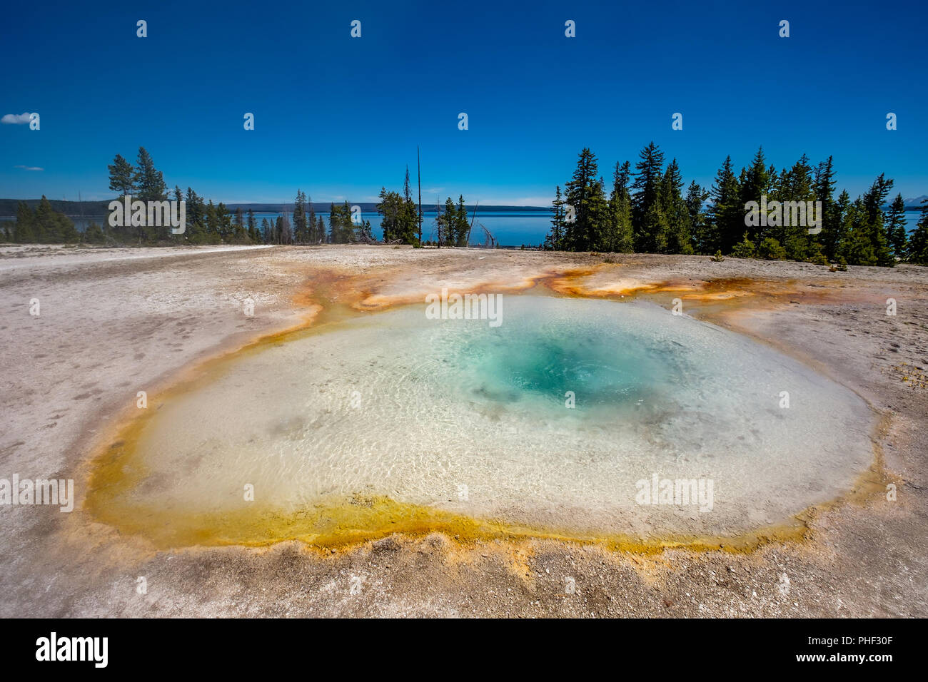 Hot thermal spring in Yellowstone Stock Photo - Alamy