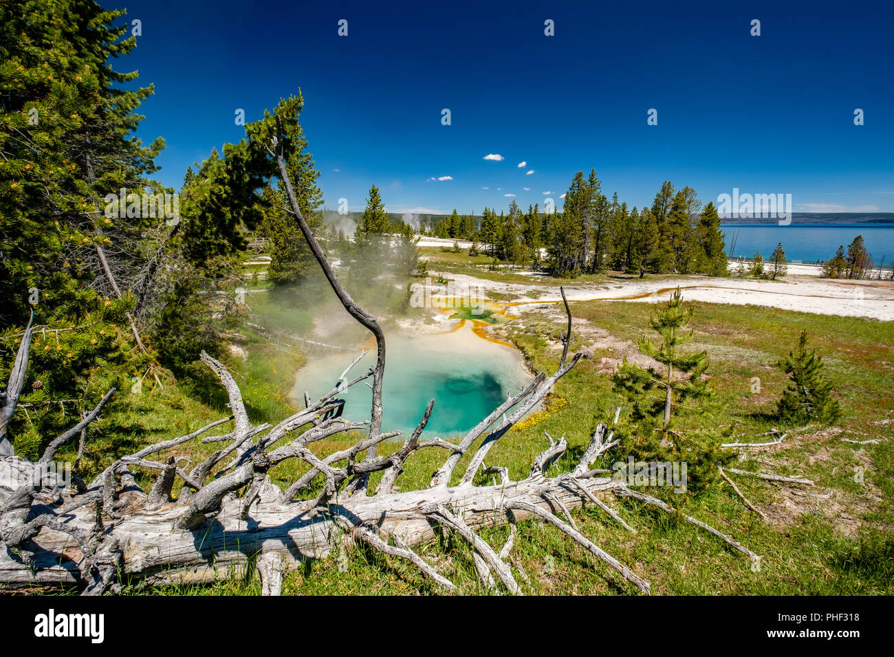 Hot thermal spring in Yellowstone Stock Photo - Alamy