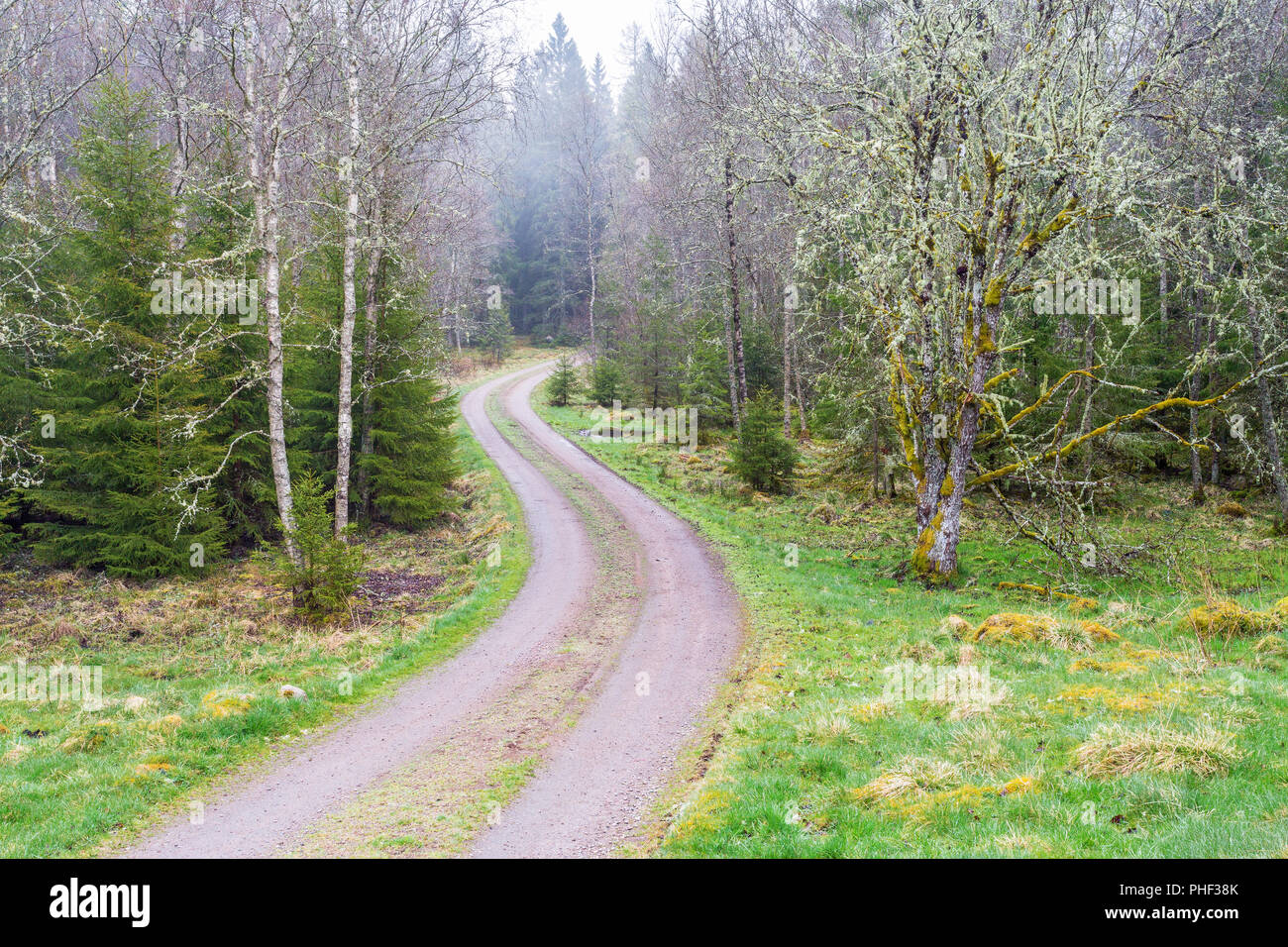 Dirt road through woods hi-res stock photography and images - Alamy