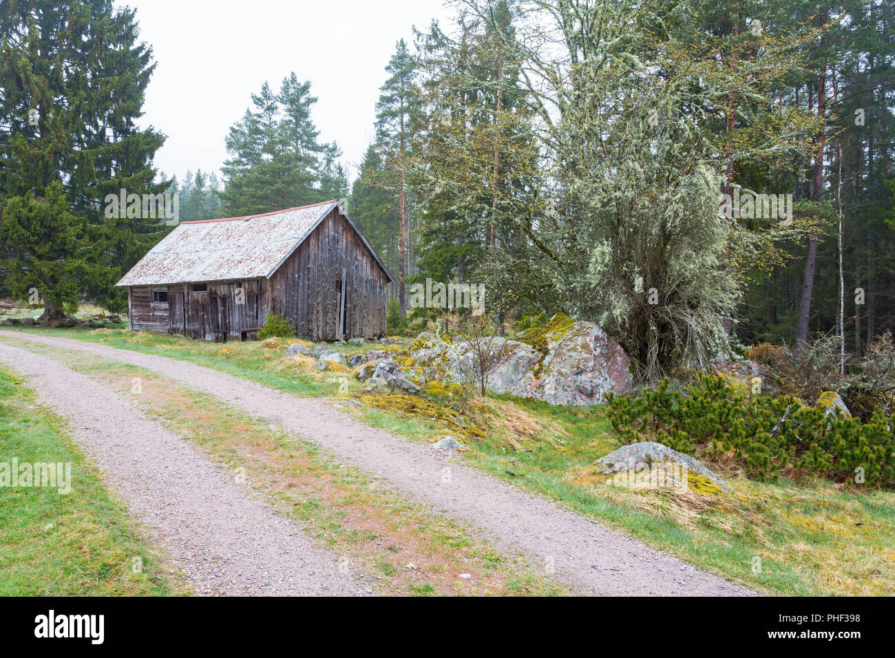 Old woods road in hi-res stock photography and images - Alamy