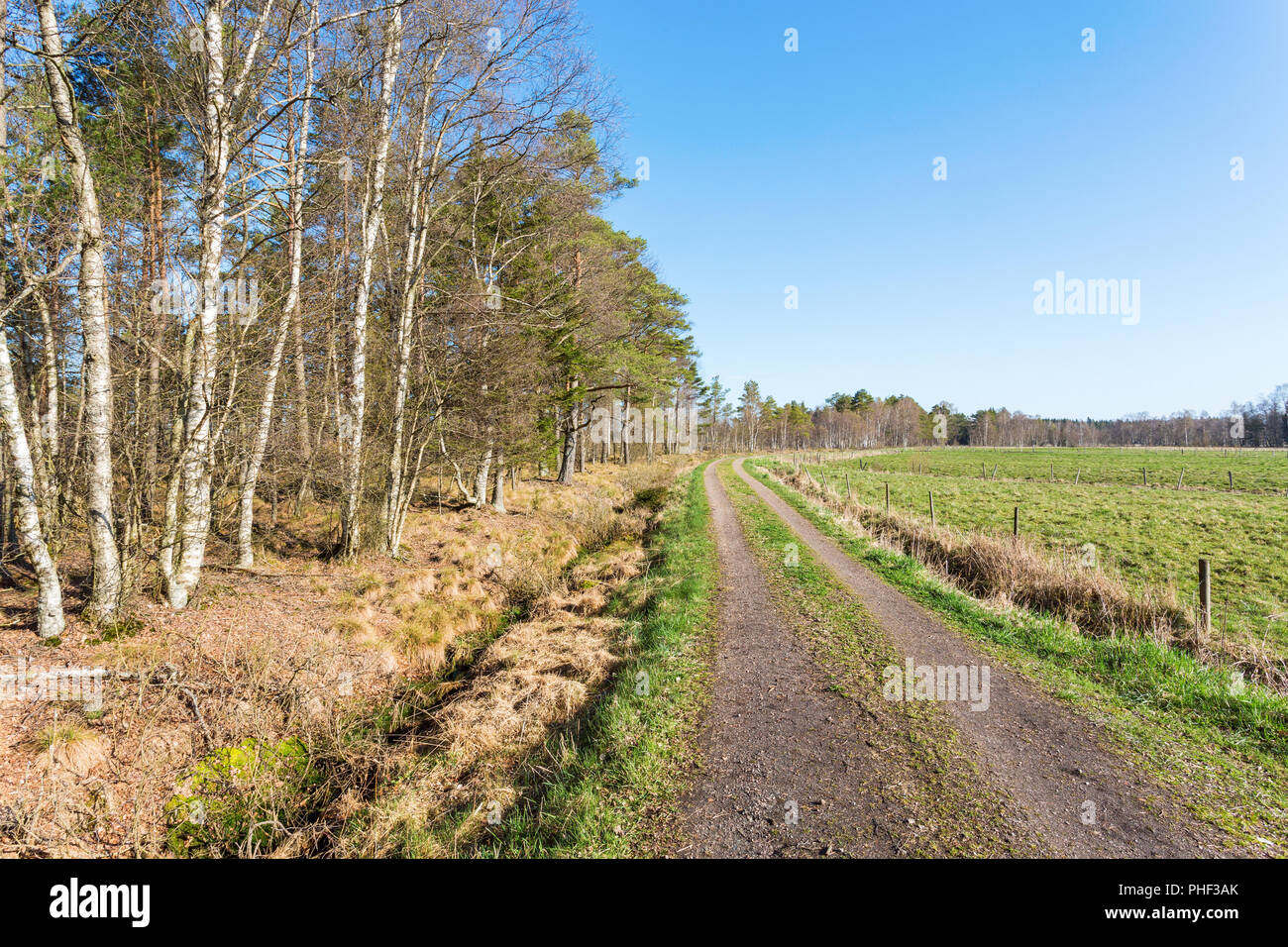 Old bog road hi-res stock photography and images - Alamy