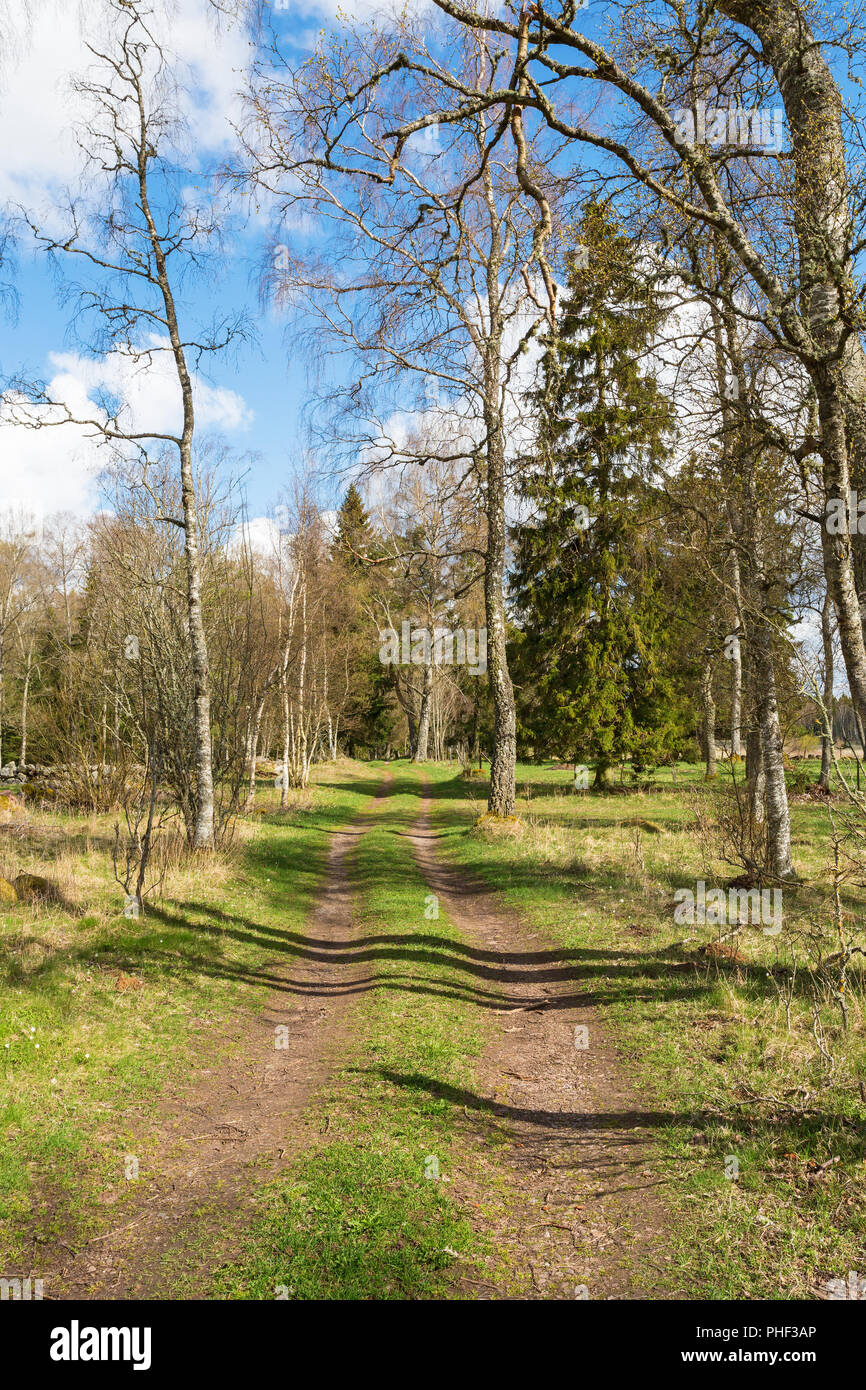 Dirt road through woods hi-res stock photography and images - Alamy