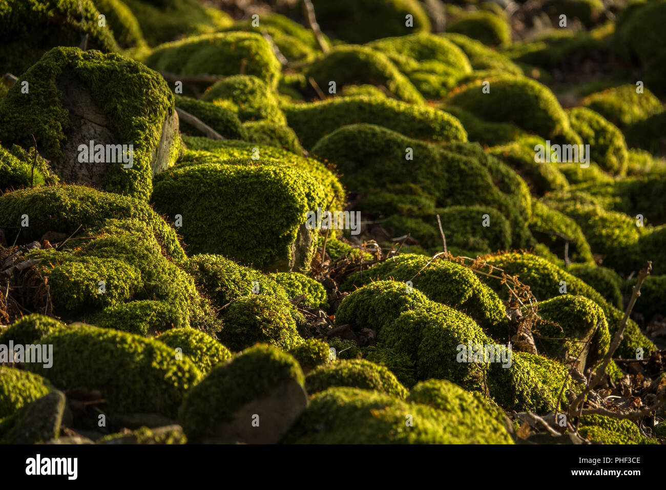 Soft focus background rocks hi-res stock photography and images - Alamy