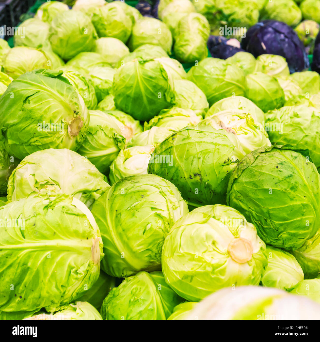 Cabbage market square hi-res stock photography and images - Alamy